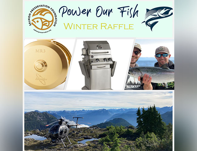 Browse Raffles - Raffle Nexus